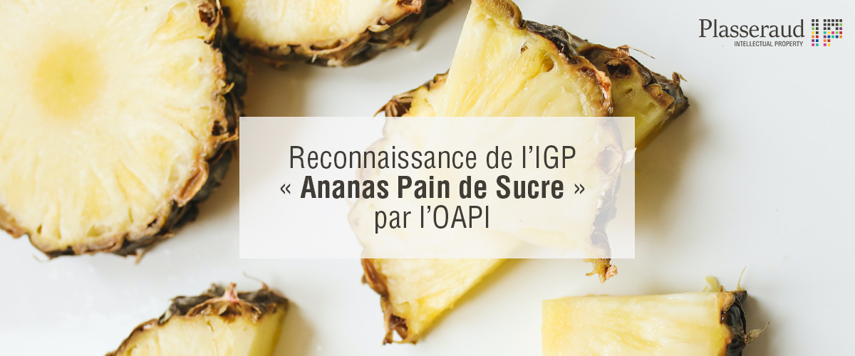 Reconnaissance de l’IGP « Ananas Pain de Sucre » par l’OAPI | Plasseraud IP